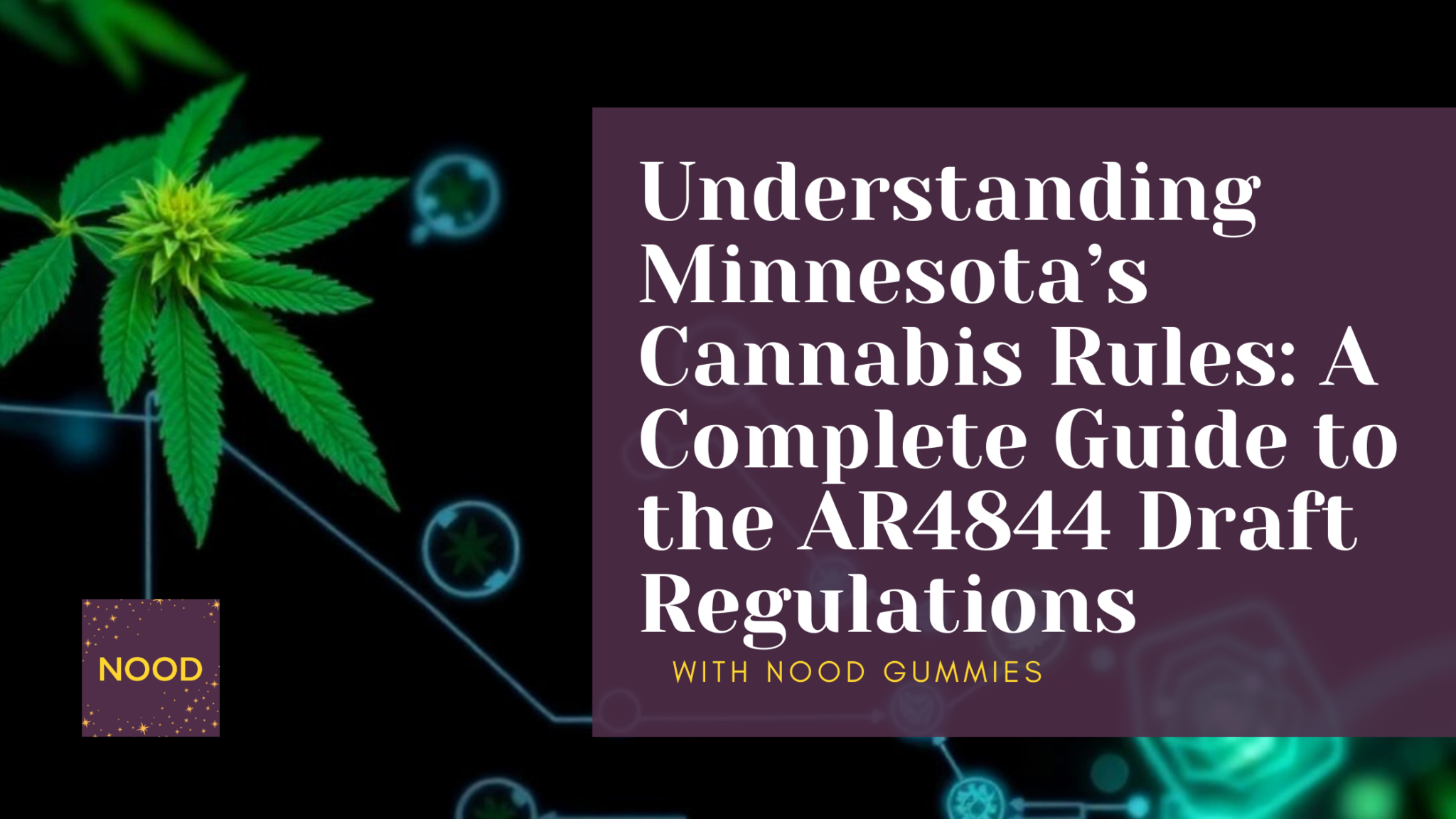 Understanding Minnesota’s Cannabis Rules: A Complete Guide to the ...